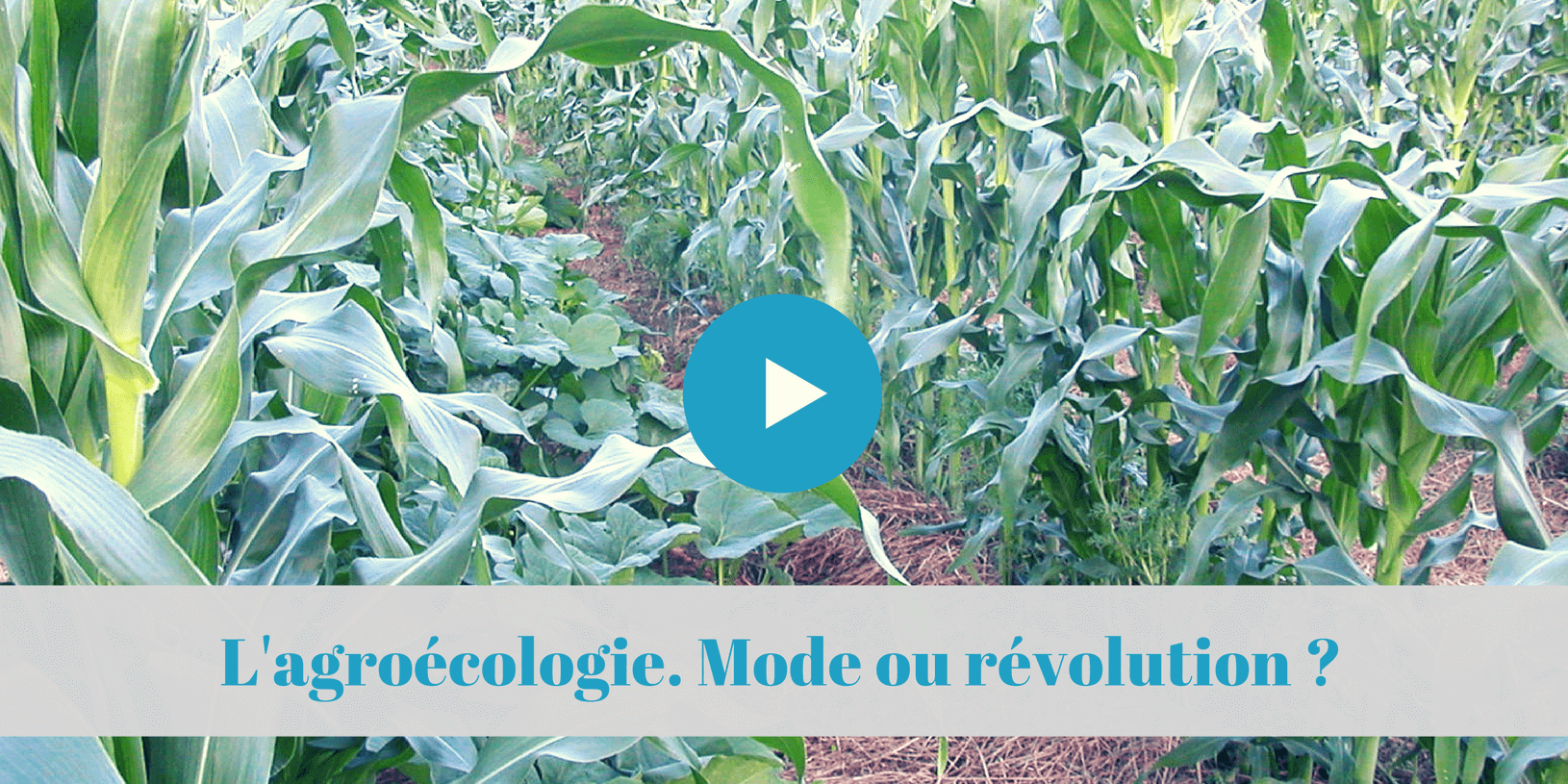 Découvrez l'agroécologie | Avec Montpellier SupAgro